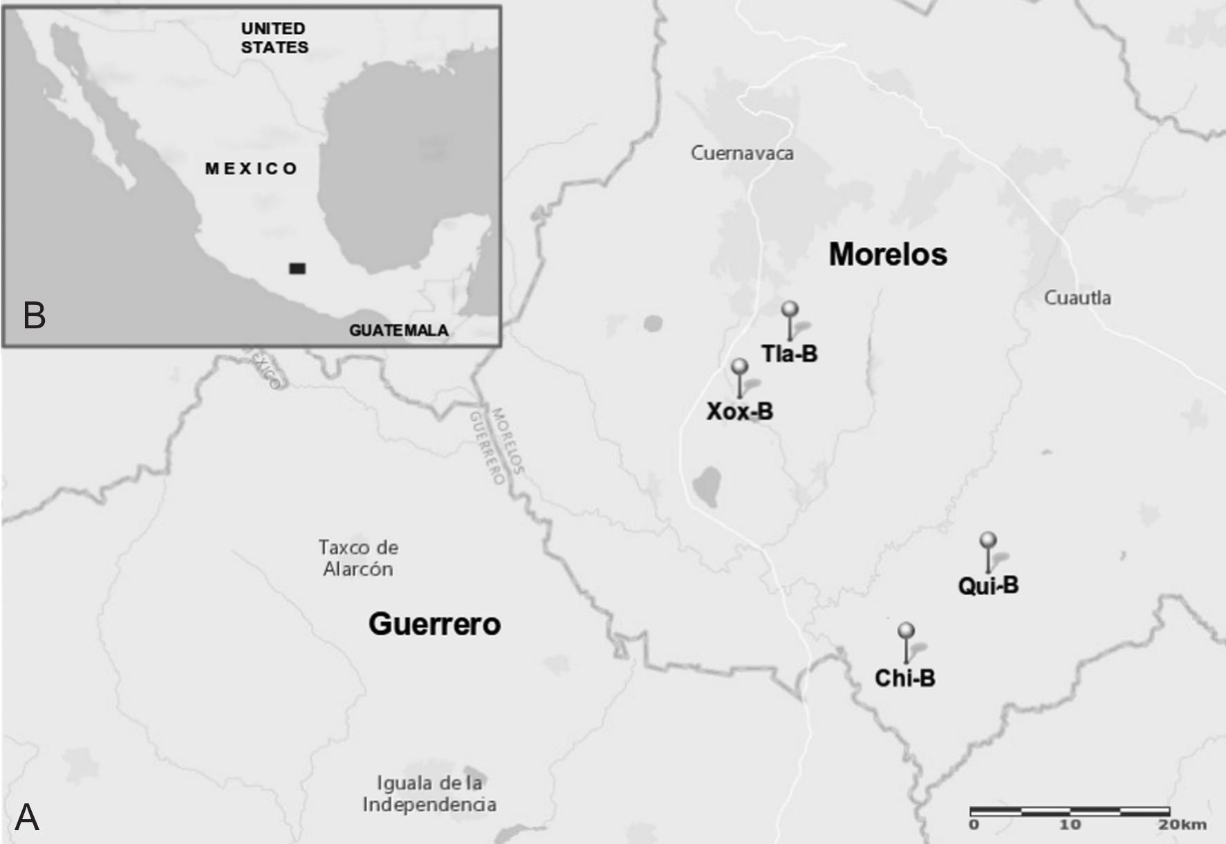 Evidence of Viral Communities in Three Species of Bats from Rural ...