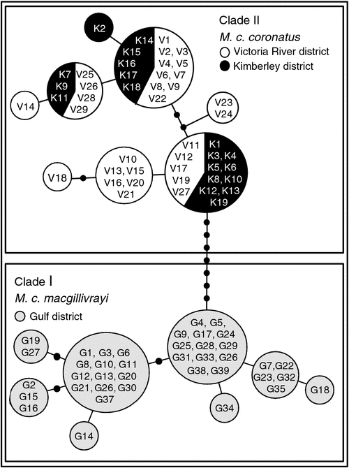 Inferring population connectivity across the range of the purple ...
