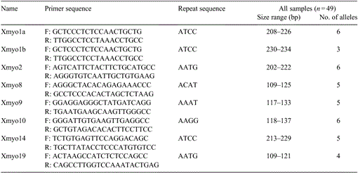 Conservation genetics of the water mouse, Xeromys myoides Thomas, 1889
