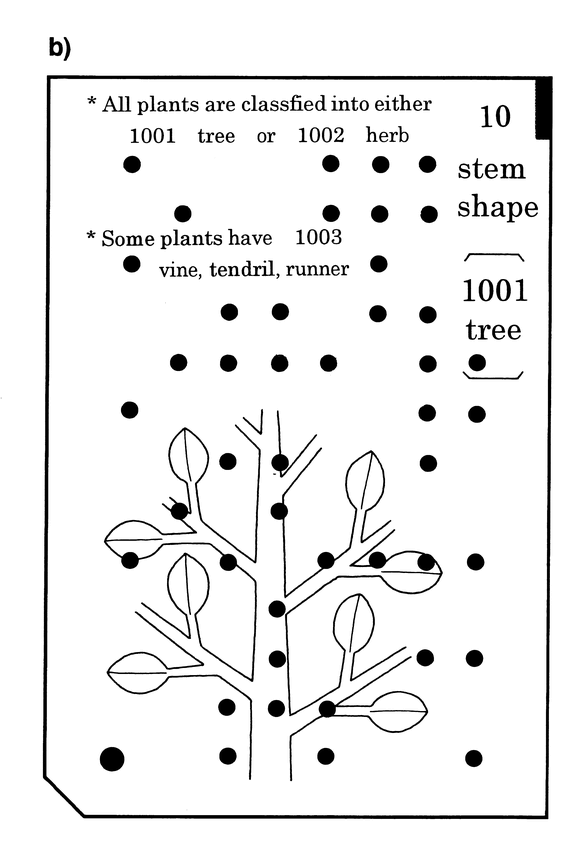 Development of Teaching Materials for Field Identification of Plants ...