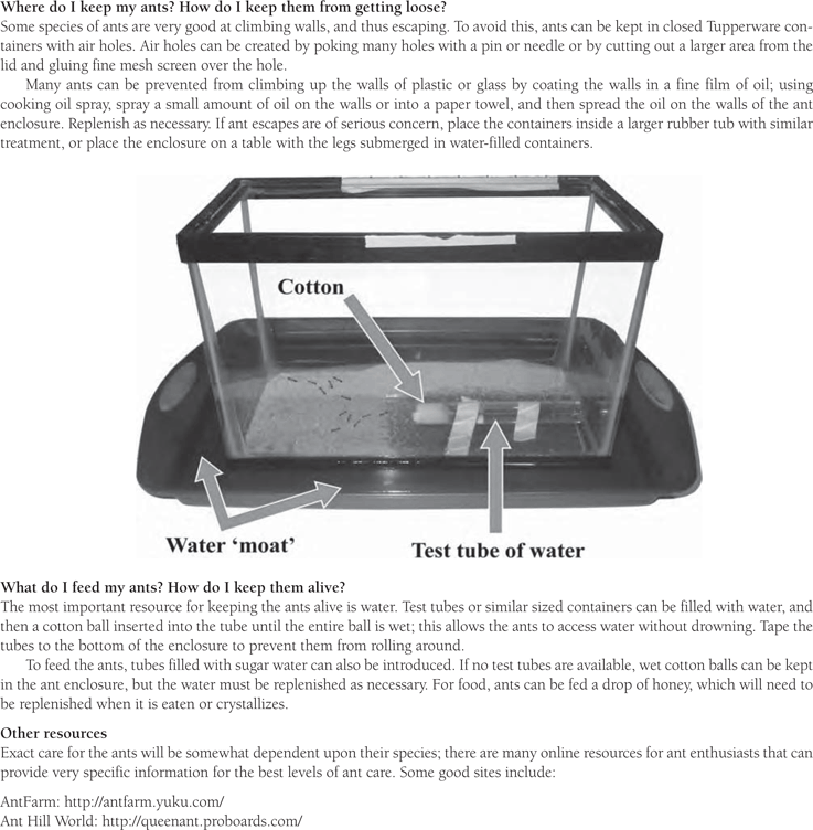 Using Ants, Animal Behavior & the Learning Cycle to Investigate ...