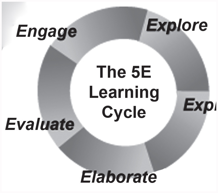 Teaching the Hardy-Weinberg Equilibrium: A 5E Lesson Plan