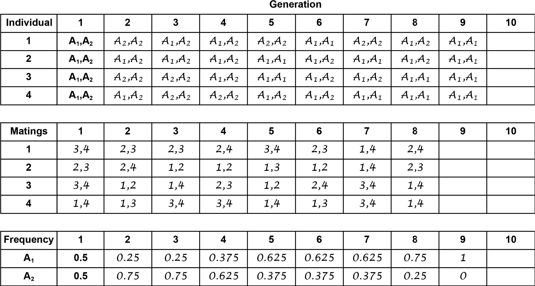 Exploring Genetic Drift via Manual Simulations