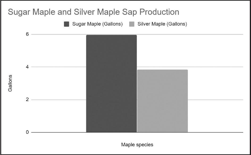 Sugarin' Science: Tapping into Experimental Design with Maple Trees