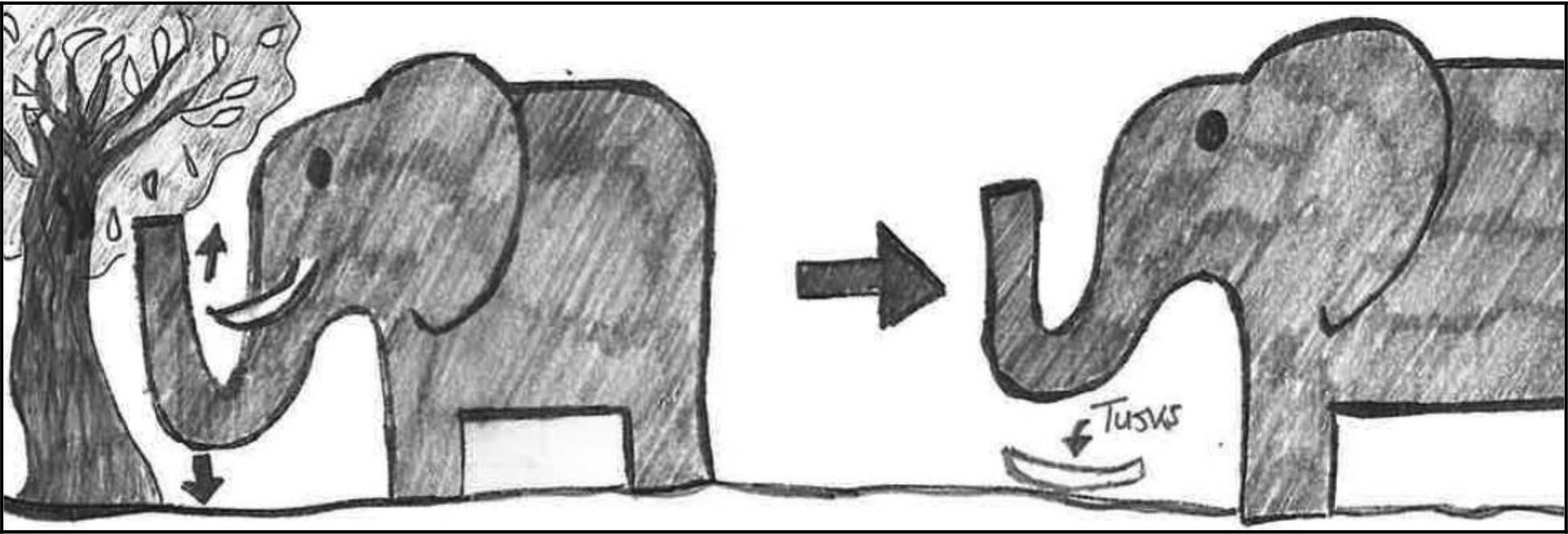 Elephant Tusks and Natural Selection: Leveraging Naïve Student Models ...