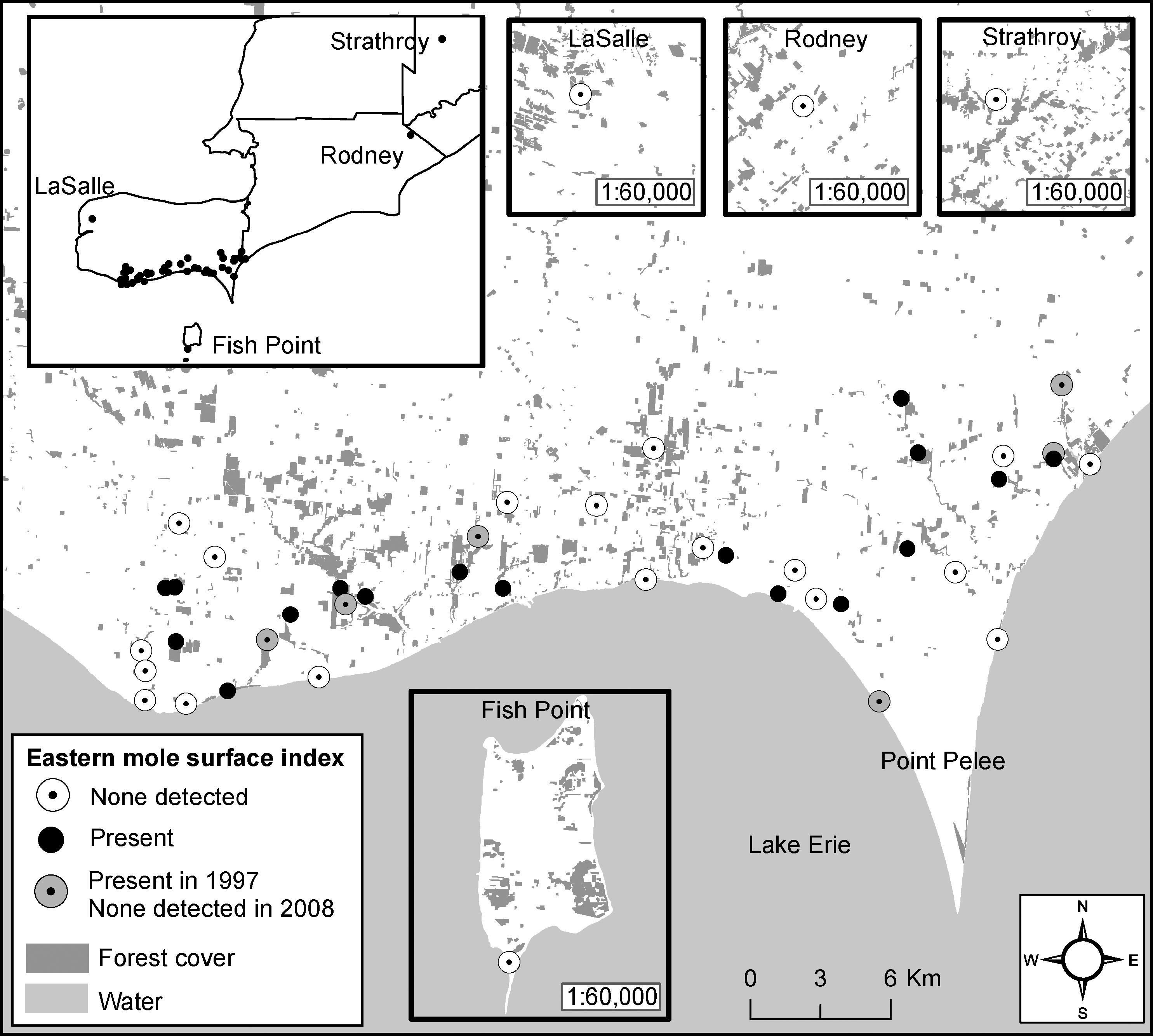 Assessing the Distribution of Eastern Moles (Scalopus aquaticus) in ...