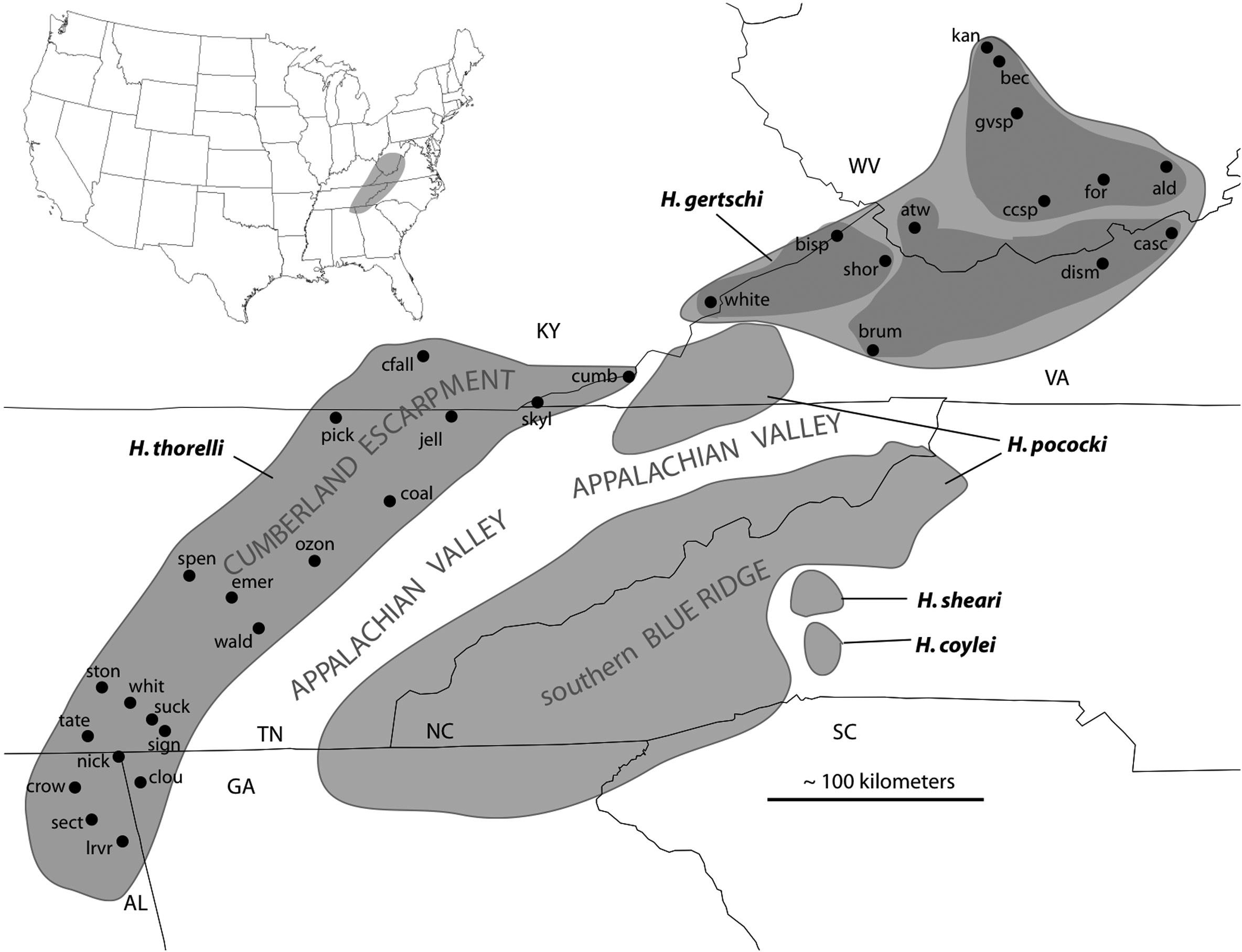Extreme mitochondrial population subdivision in southern Appalachian ...