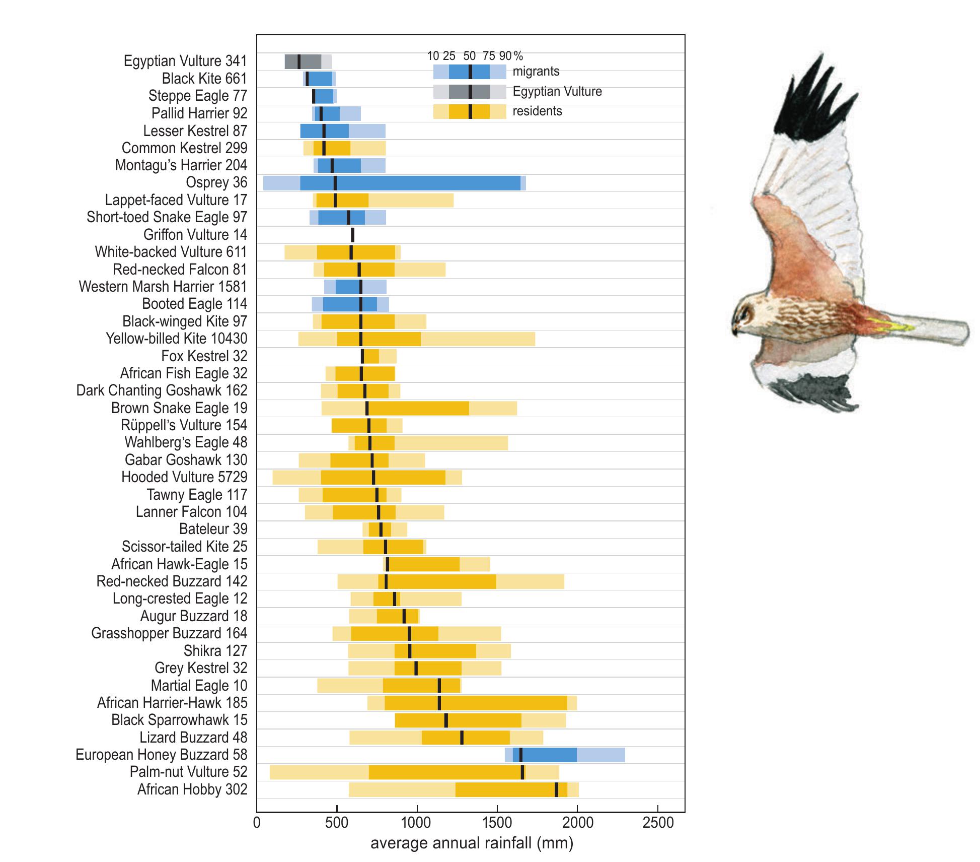 Distribution and Relative Density of Raptors in the Sub-Sahara during ...