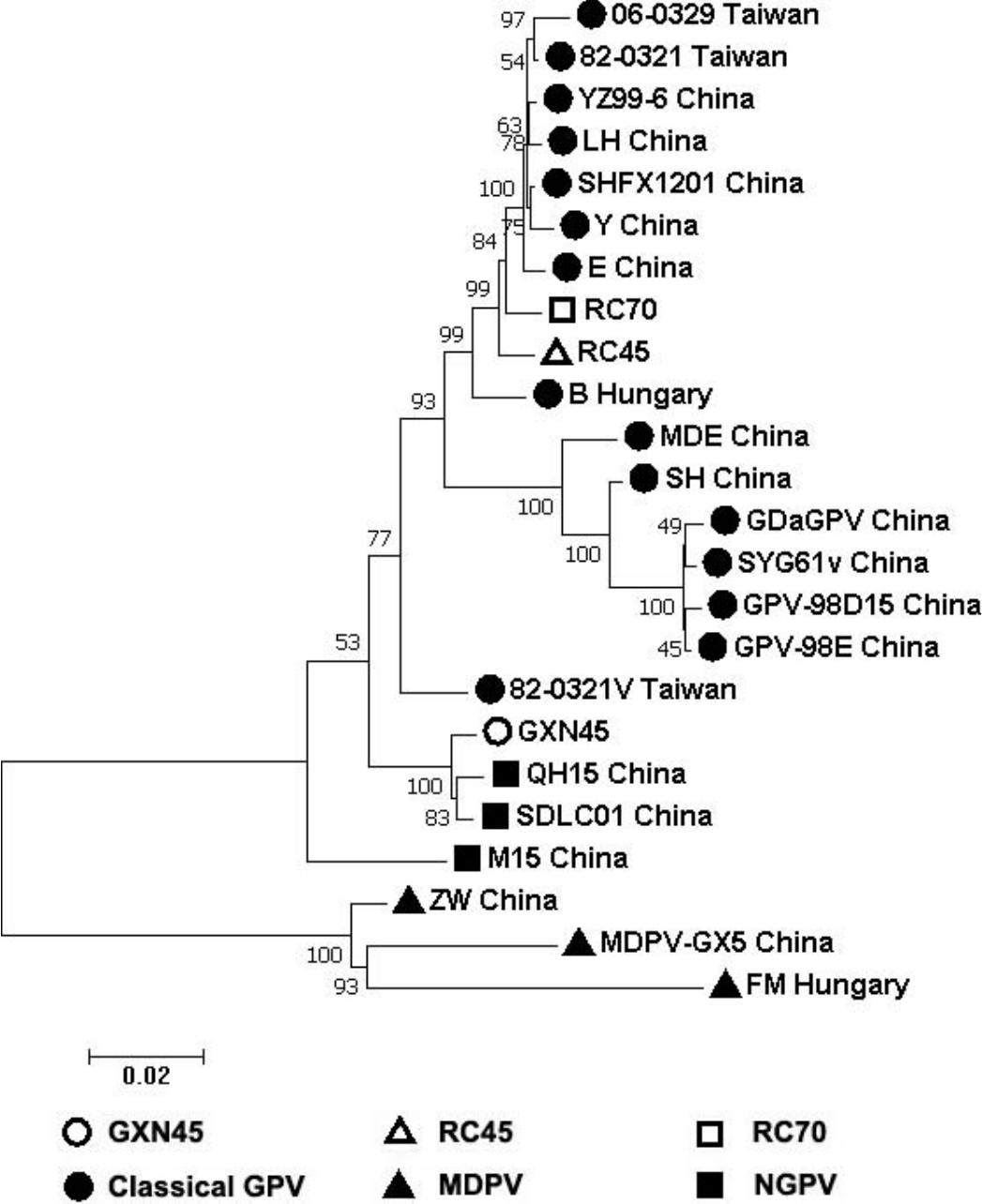 Detection and Molecular Characterization of Two Genotypes of Goose ...