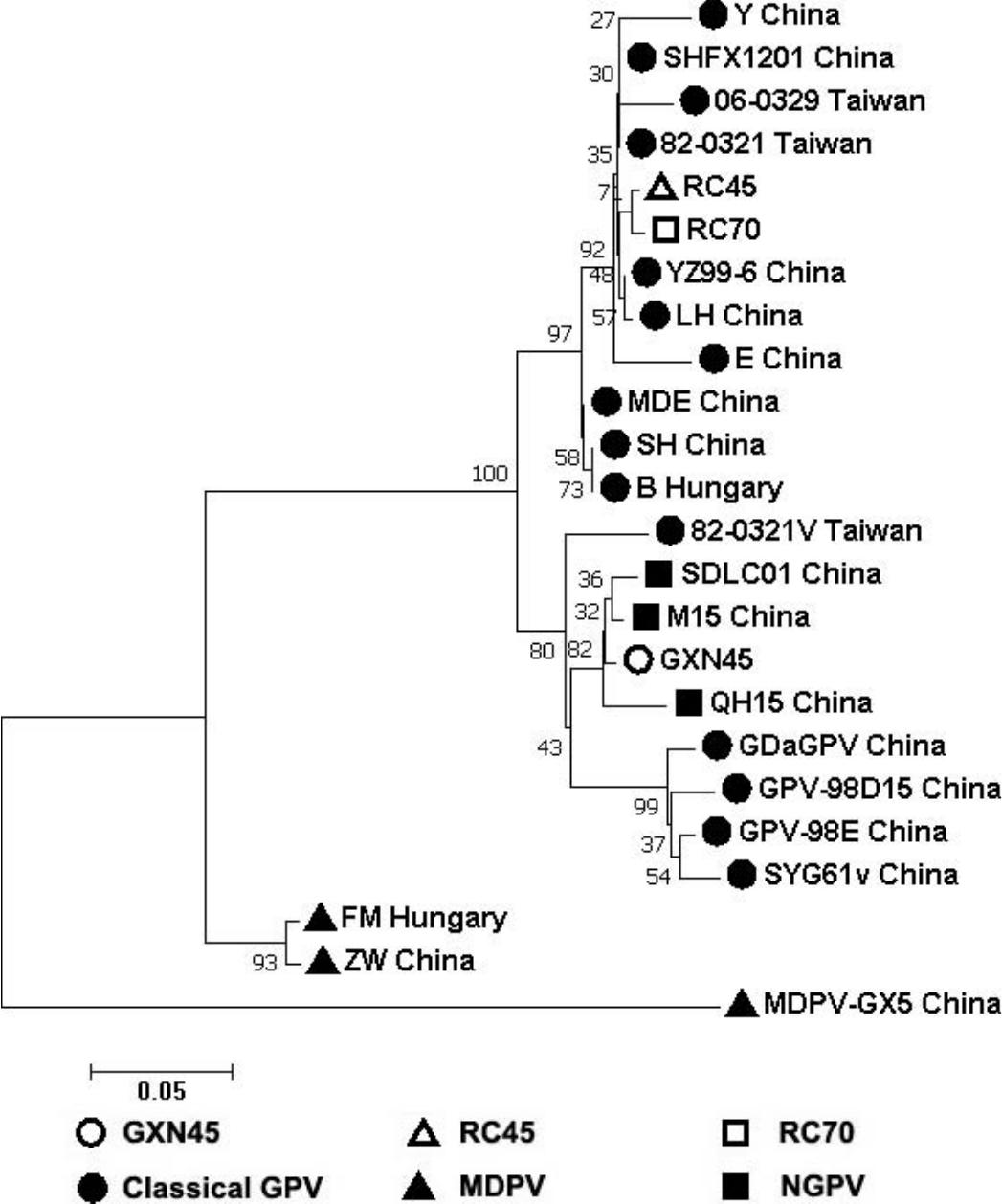 Detection and Molecular Characterization of Two Genotypes of Goose ...