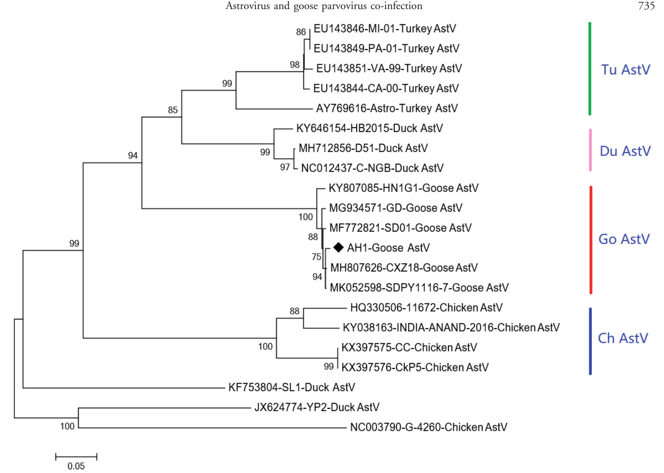 Clinical and Histologic Characterization of Co-infection with ...