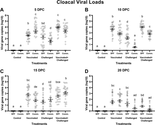 Mitigation of False Layer Syndrome Through Maternal Antibodies Against ...