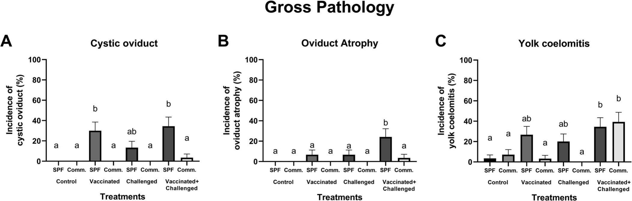 Mitigation of False Layer Syndrome Through Maternal Antibodies Against ...