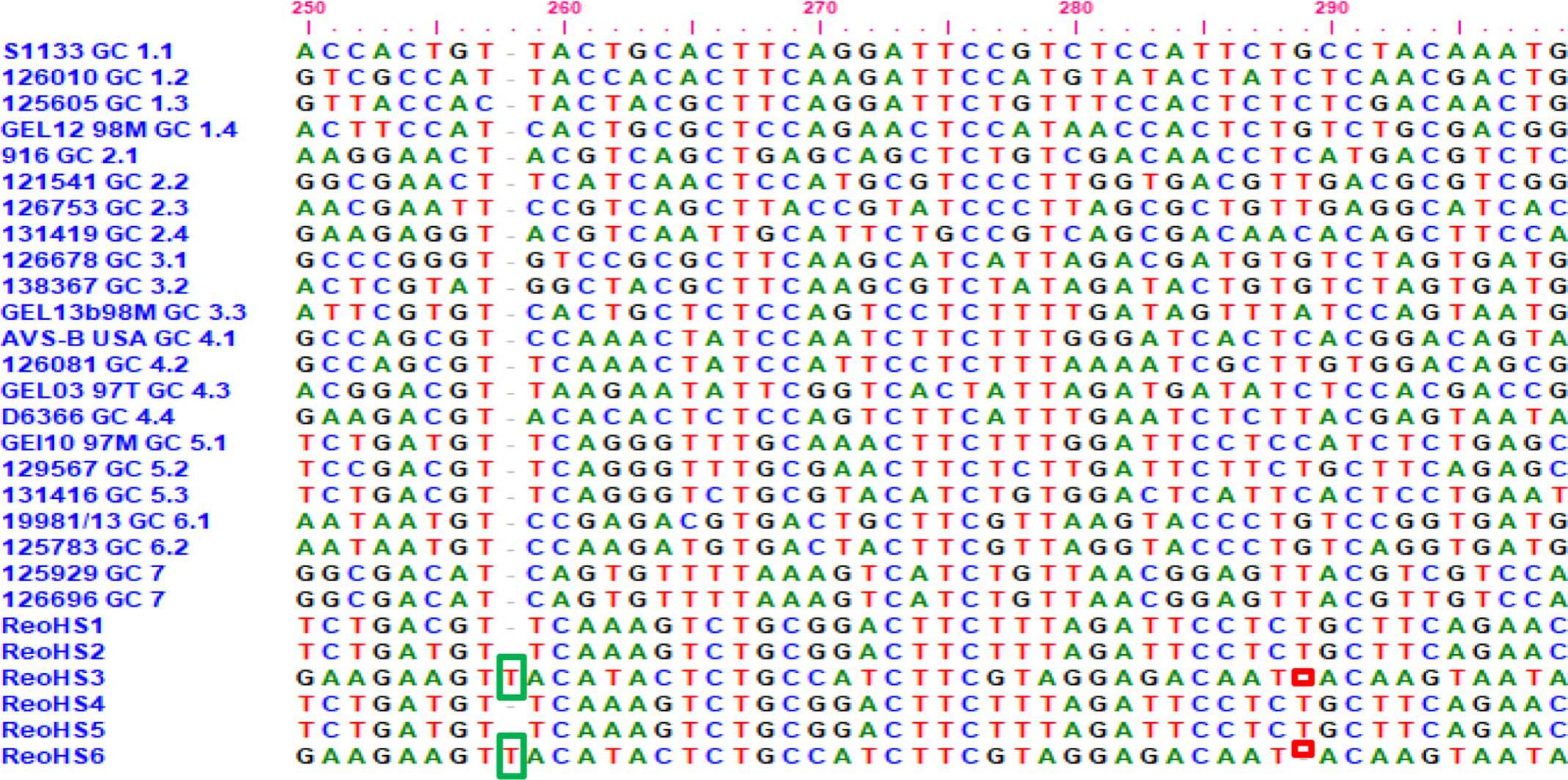 Molecular Characterization of Variant Egyptian Avian Reovirus Isolates ...