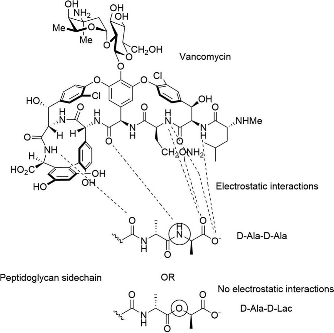 Boger's total synthesis of vancomycin and its analogues as a case study ...