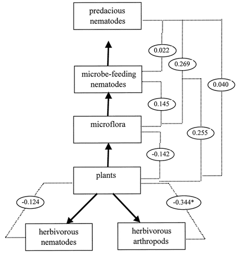 Interactions between Aboveground and Belowground Biodiversity in ...
