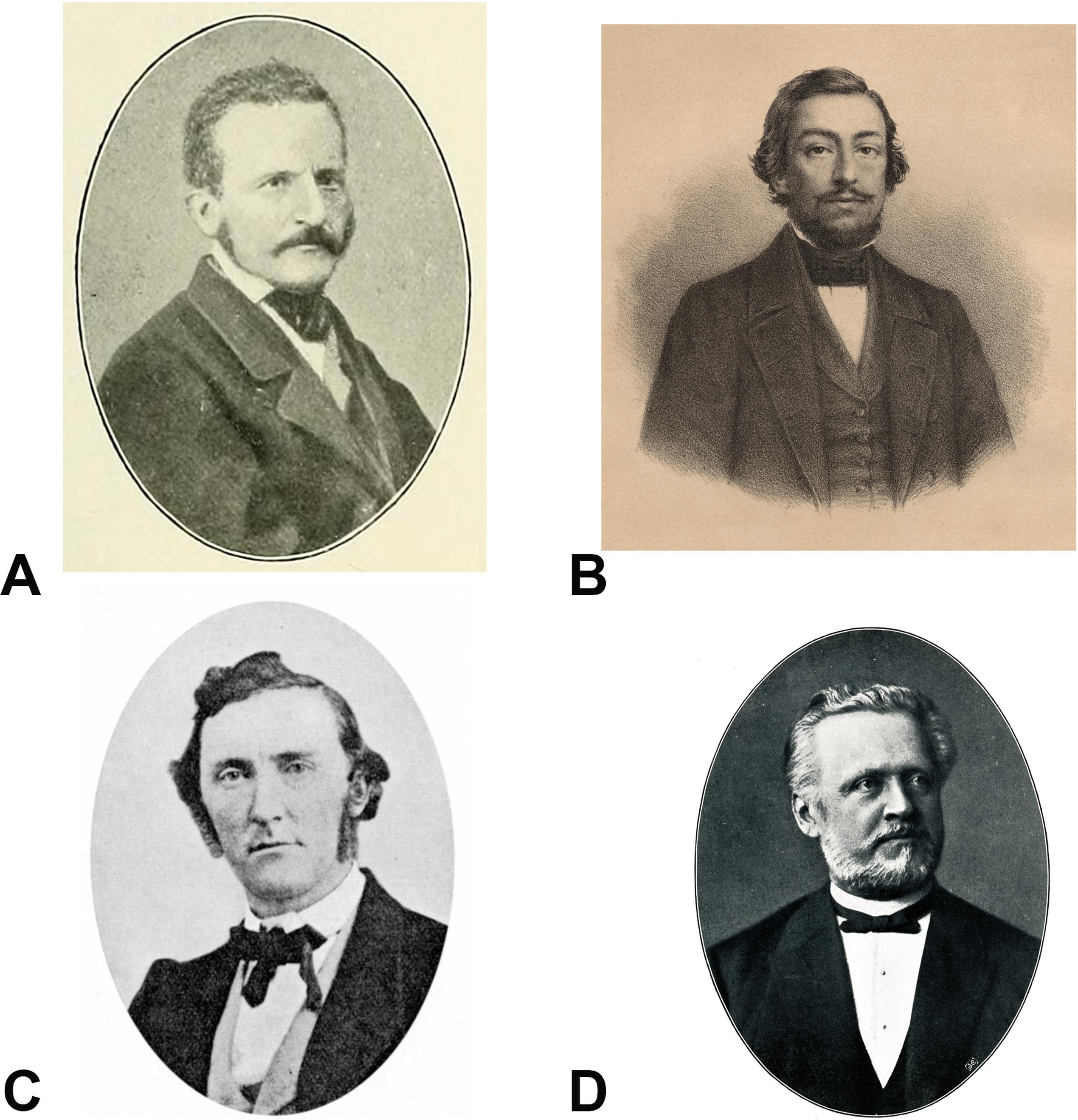 The development of lichenology in the history of botany