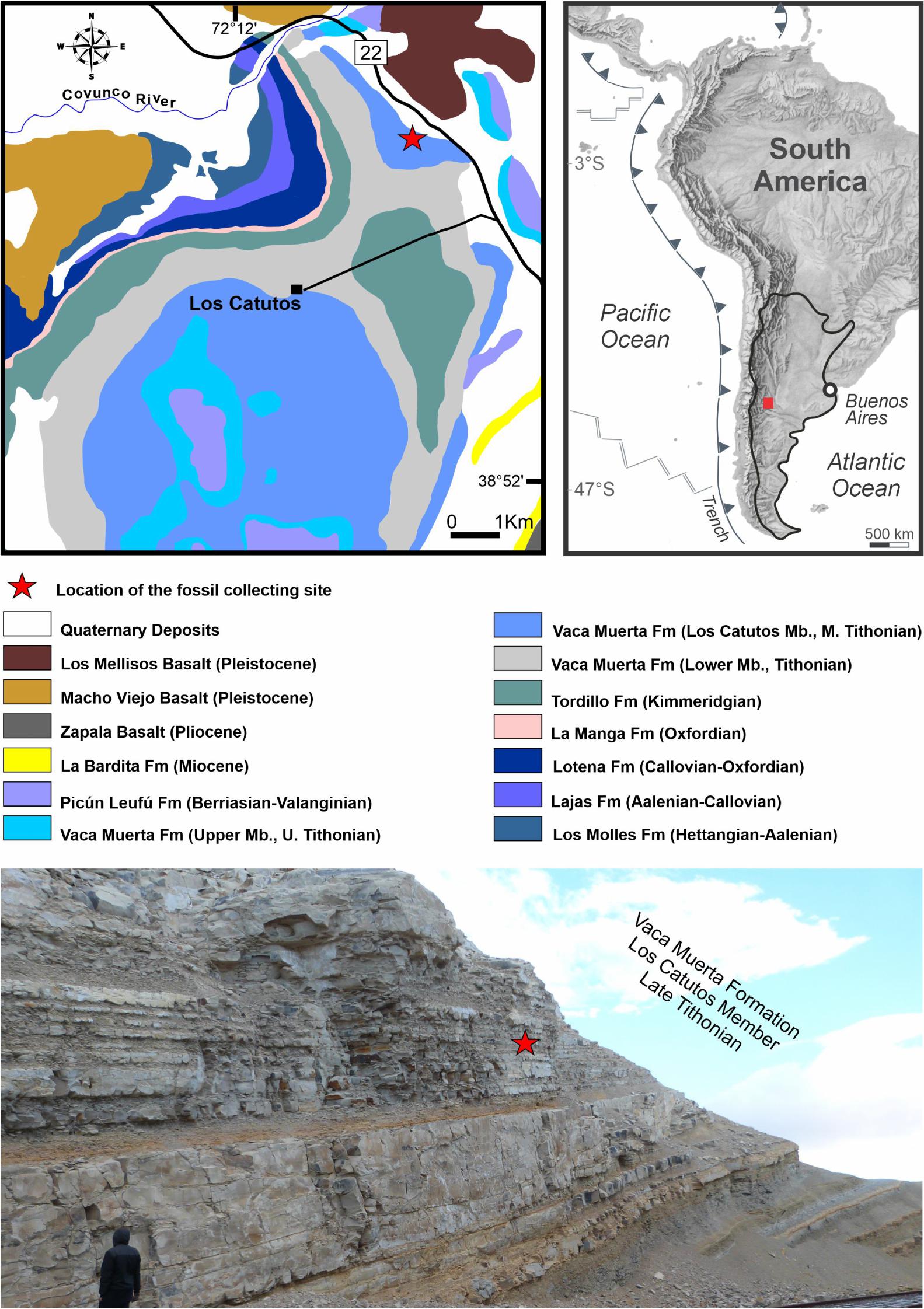 Revision of Decapoda (Glypheidea, Axiidea) from the Upper Jurassic ...