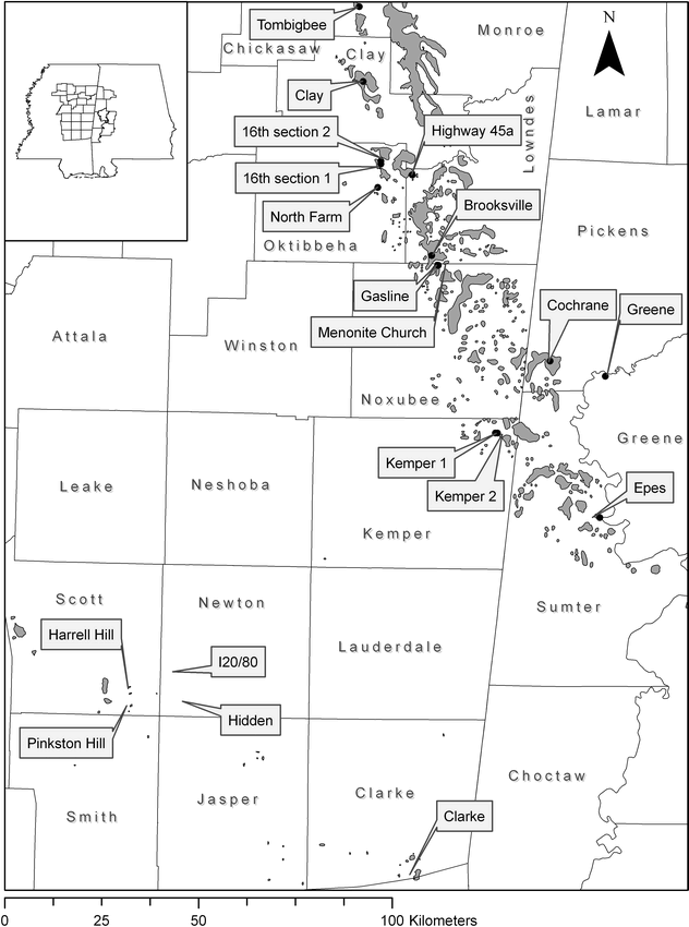 Herbaceous Flora of Blackland Prairie Remnants in Mississippi and ...