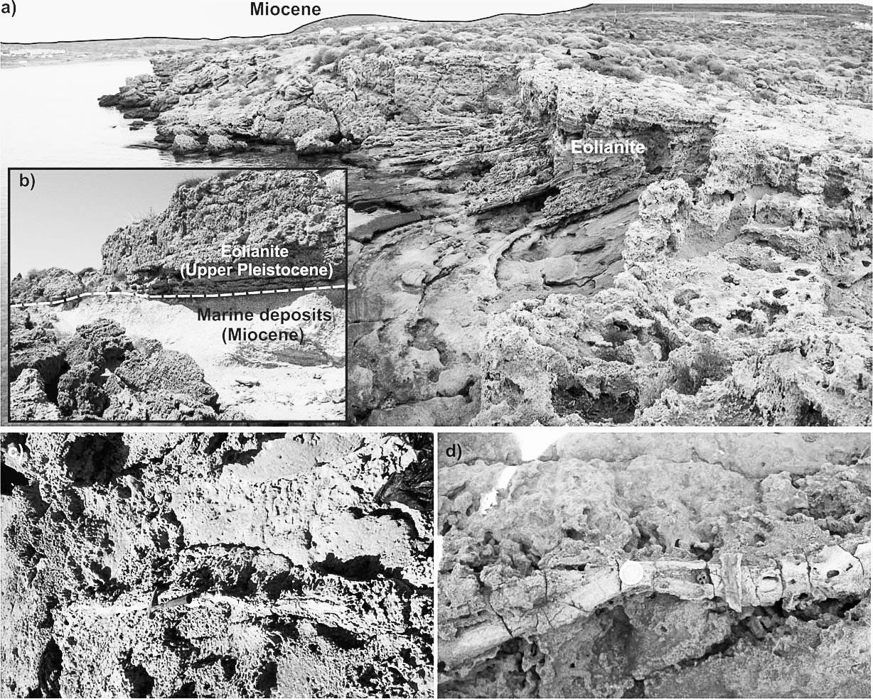 Depositional Characteristics of Carbonate-Cemented Fossil Eolian Sand ...