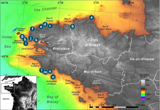 Long, Medium, and Short-term Shoreline Dynamics of the Brittany Coast ...