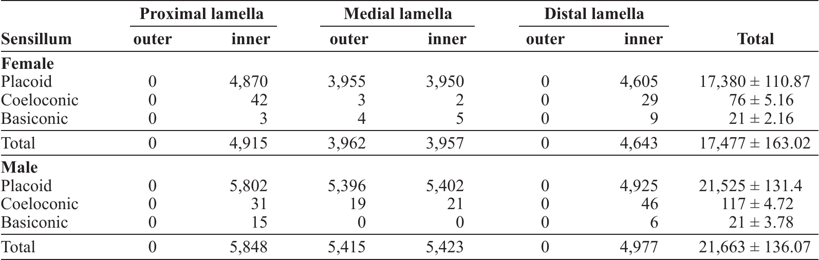 Identification and Description of Antennal Sensilla of Bothynus medon ...