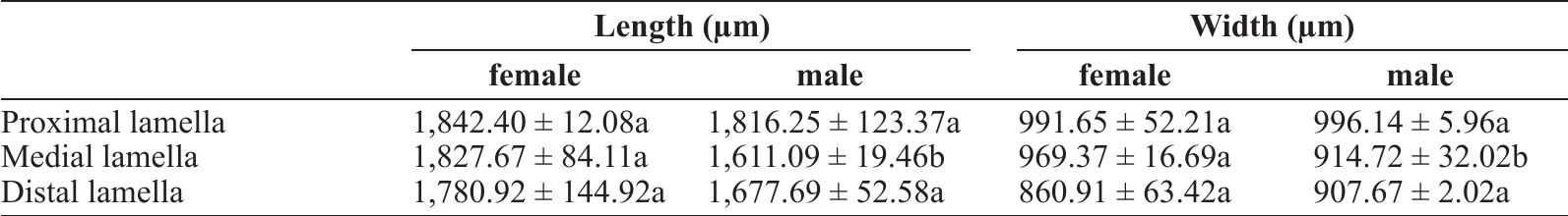 Identification and Description of Antennal Sensilla of Bothynus medon ...
