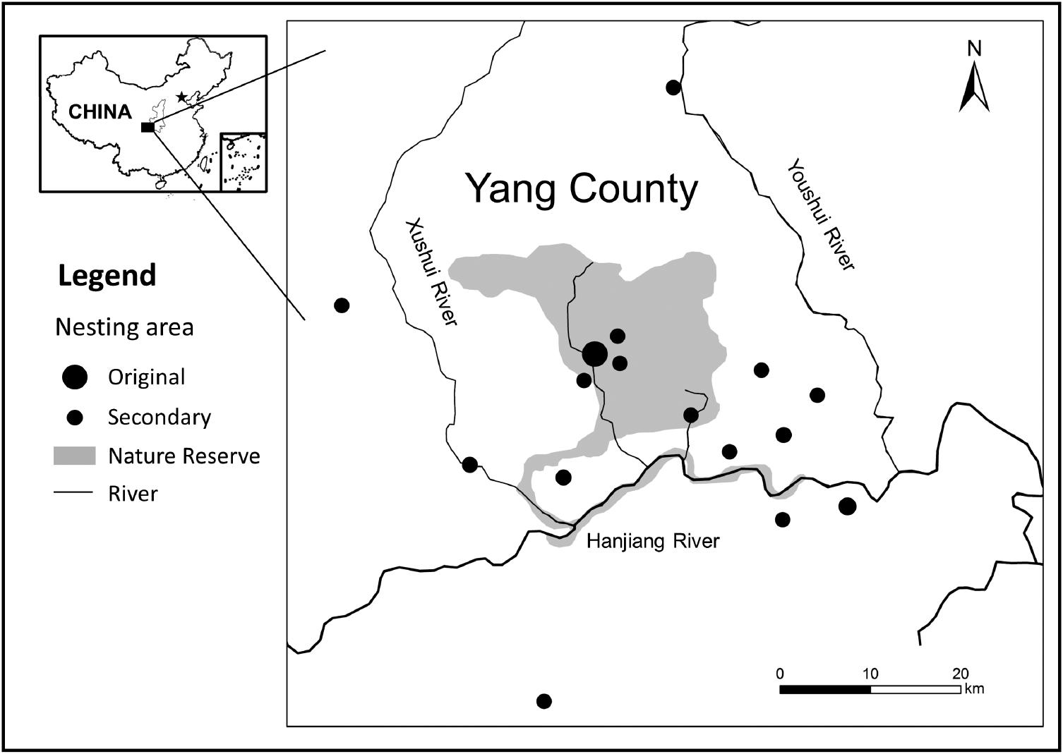 Dispersal patterns of the endangered Crested Ibis suggest high breeding ...