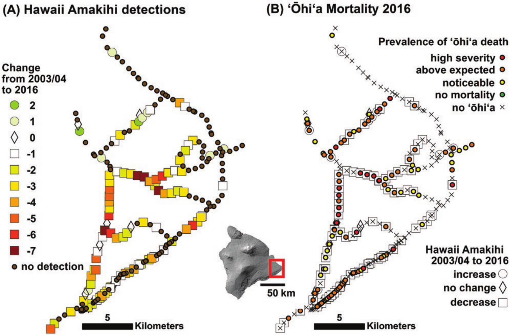 Large-scale tree mortality from Rapid Ohia Death negatively influences ...