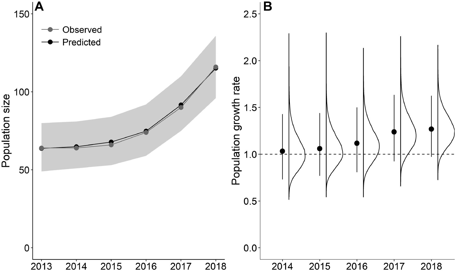 Piping Plover population increase after Hurricane Sandy mediated by ...