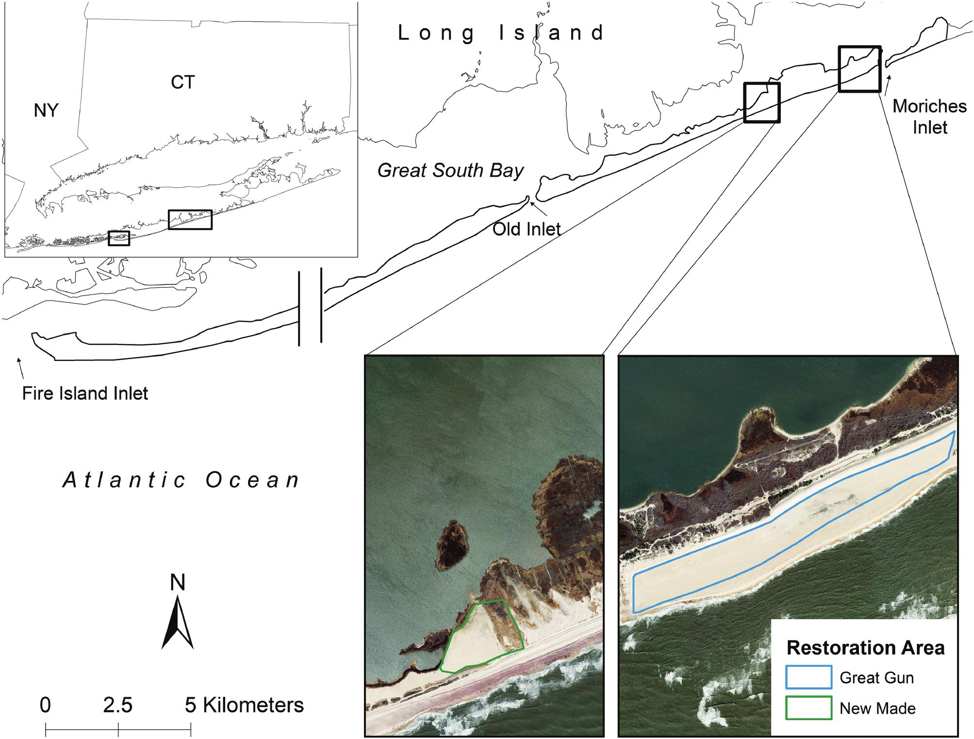 Piping Plover population increase after Hurricane Sandy mediated by ...