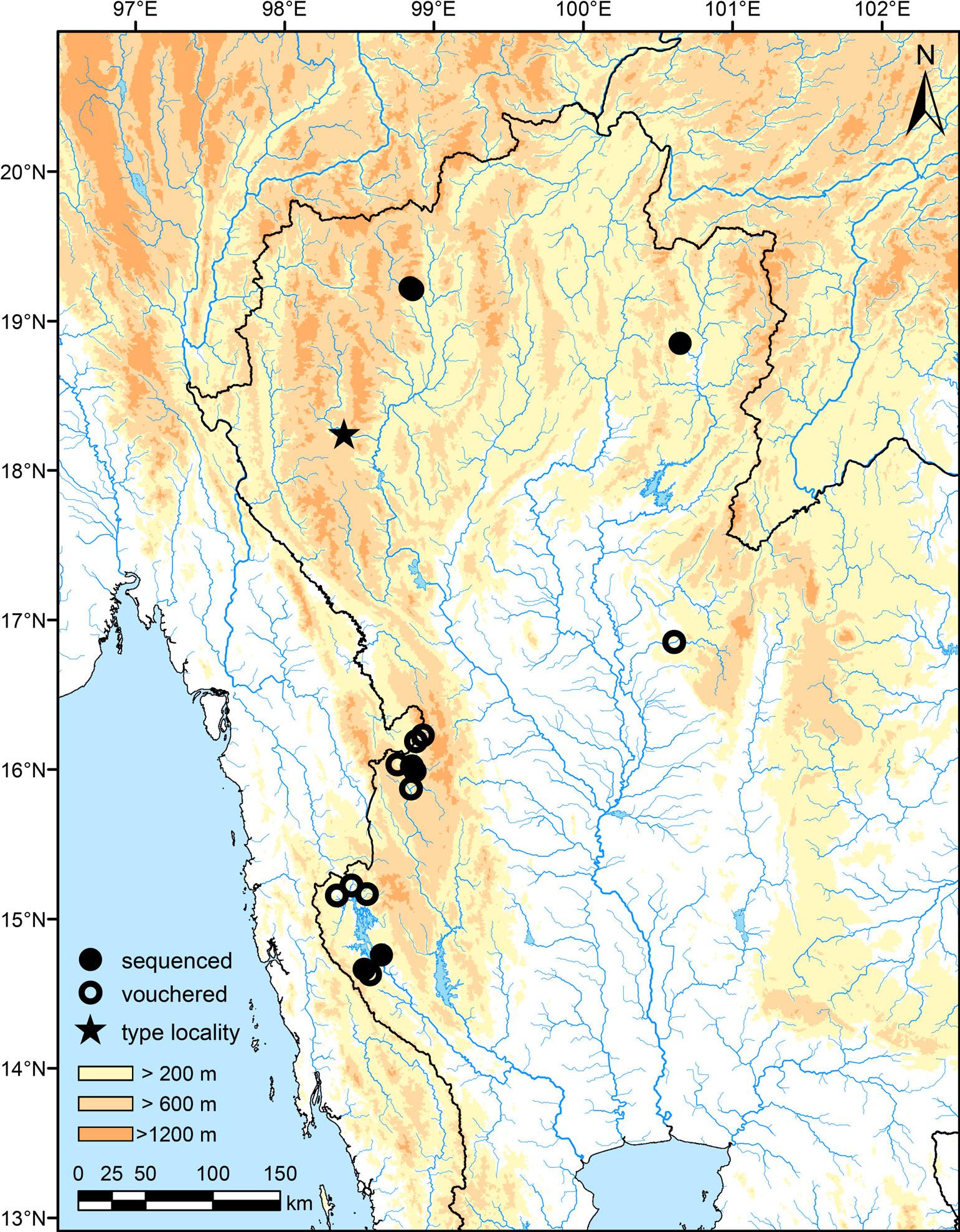 Catfishes of the Genus Glyptothorax (Siluriformes: Sisoridae) in the ...