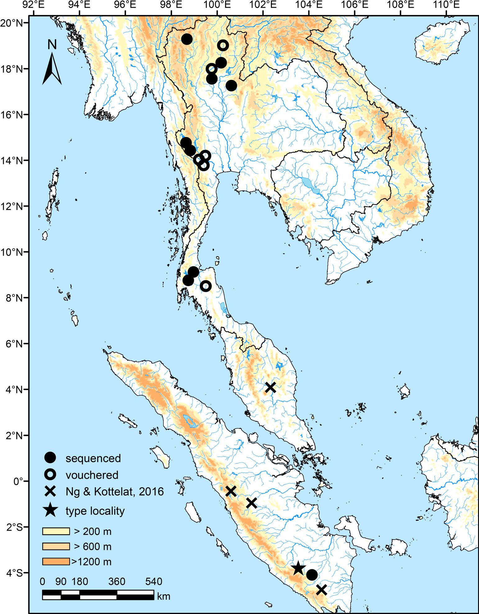 Catfishes of the Genus Glyptothorax (Siluriformes: Sisoridae) in the ...