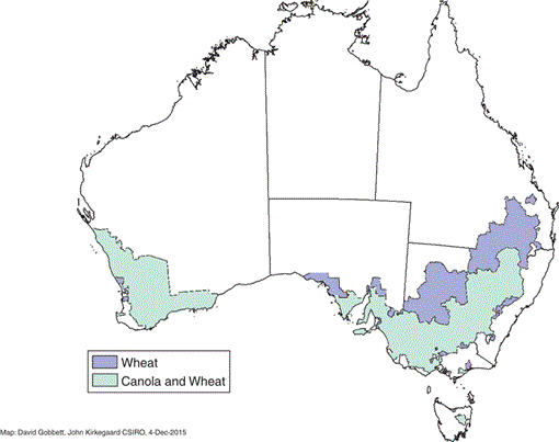 Drivers of trends in Australian canola productivity and future prospects
