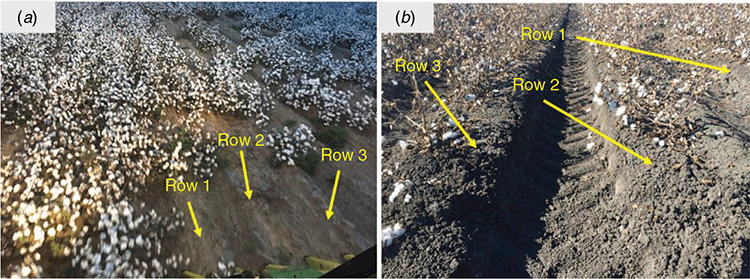 Impact of cotton picker traffic on vertosol soil and yield in ...