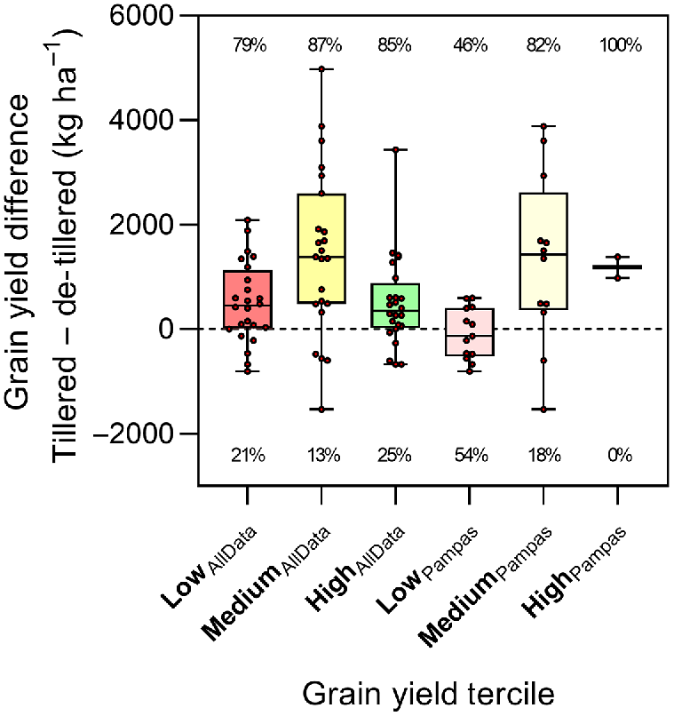 Does tillering affect the grain yield of maize (Zea mays)? A ...
