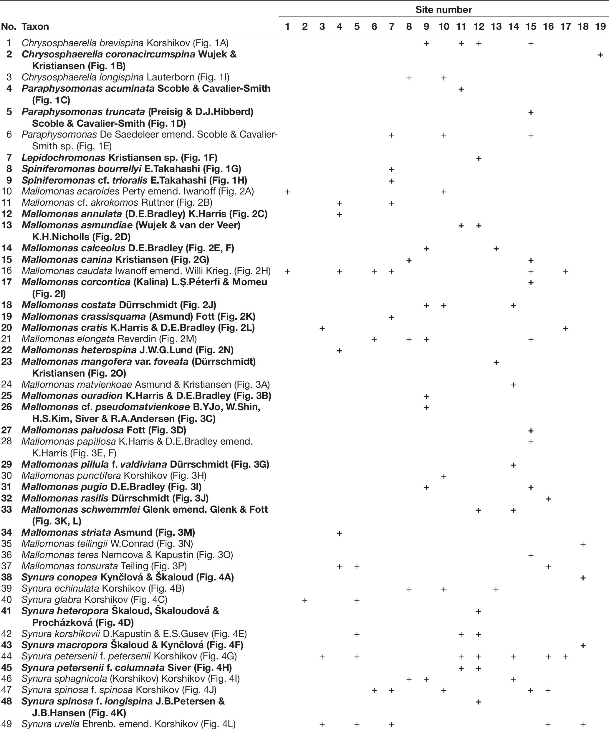 Silica-Scaled Chrysophytes from the Ukrainian Polissia