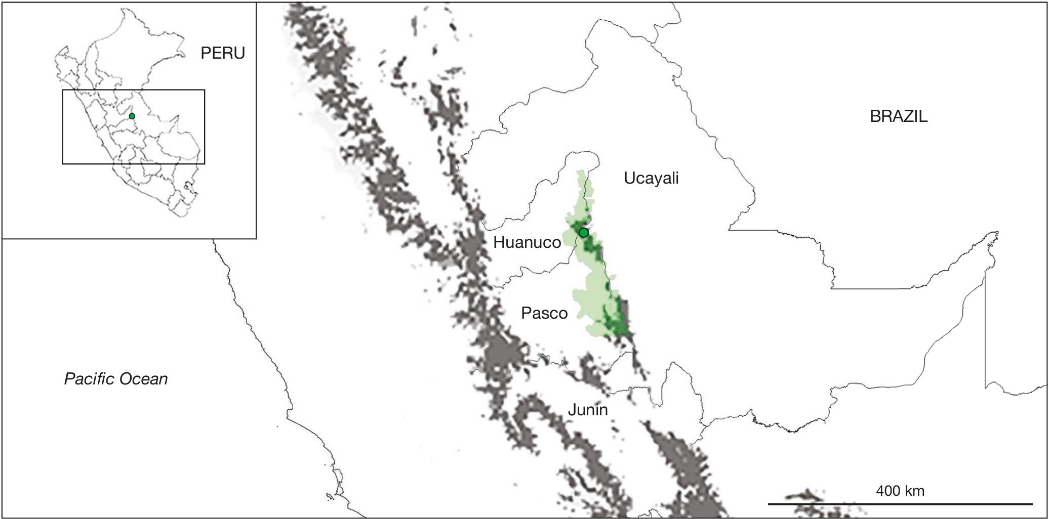 Bryoflora and Landscapes of the Eastern Andes of Central Peru: II ...