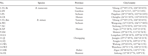 LAMP Assay as a Rapid Identification Technique of Chinese Citrus Fly ...