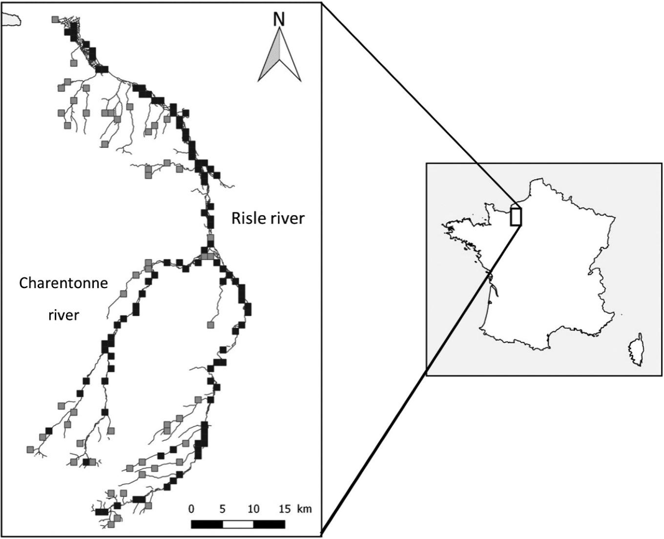 Weak Evidence of Spatial Segregation between the Vulnerable Southern ...