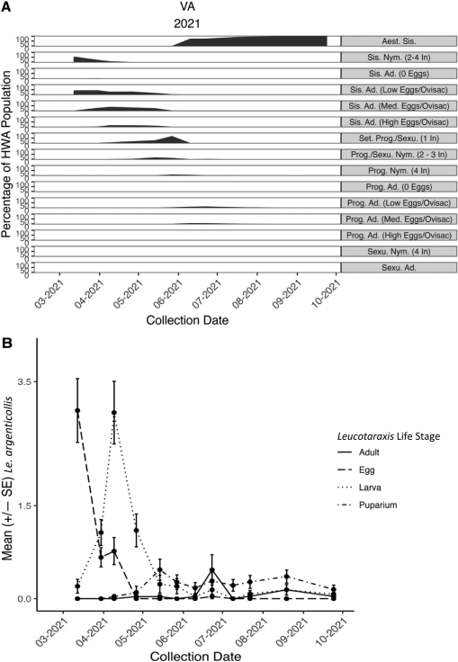 Phenology of Leucotaraxis argenticollis, a specialist predator of the ...