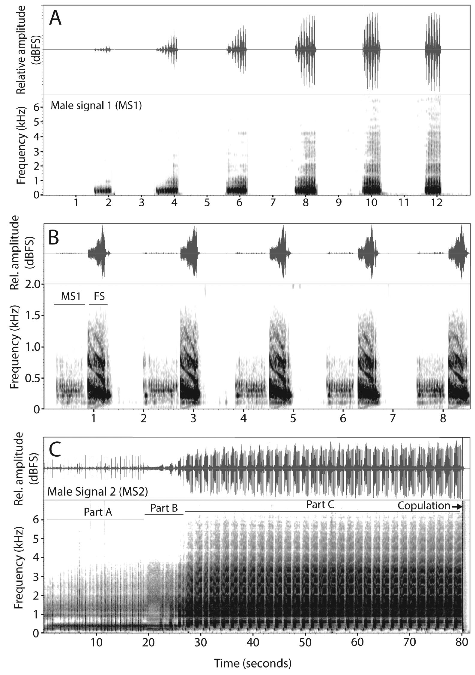 Mating Communication of the Variegated Leafhopper, Erasmoneura ...