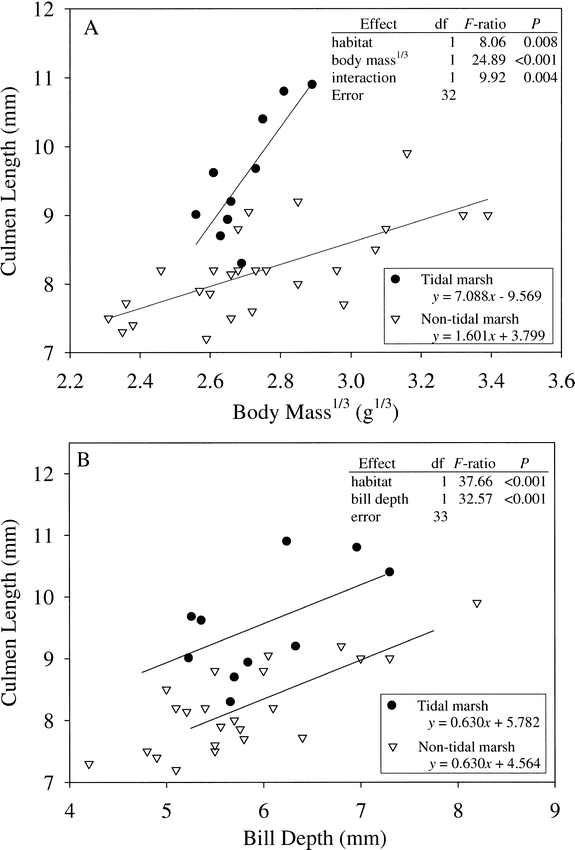 A BIOGEOGRAPHIC PATTERN IN SPARROW BILL MORPHOLOGY: PARALLEL ADAPTATION ...