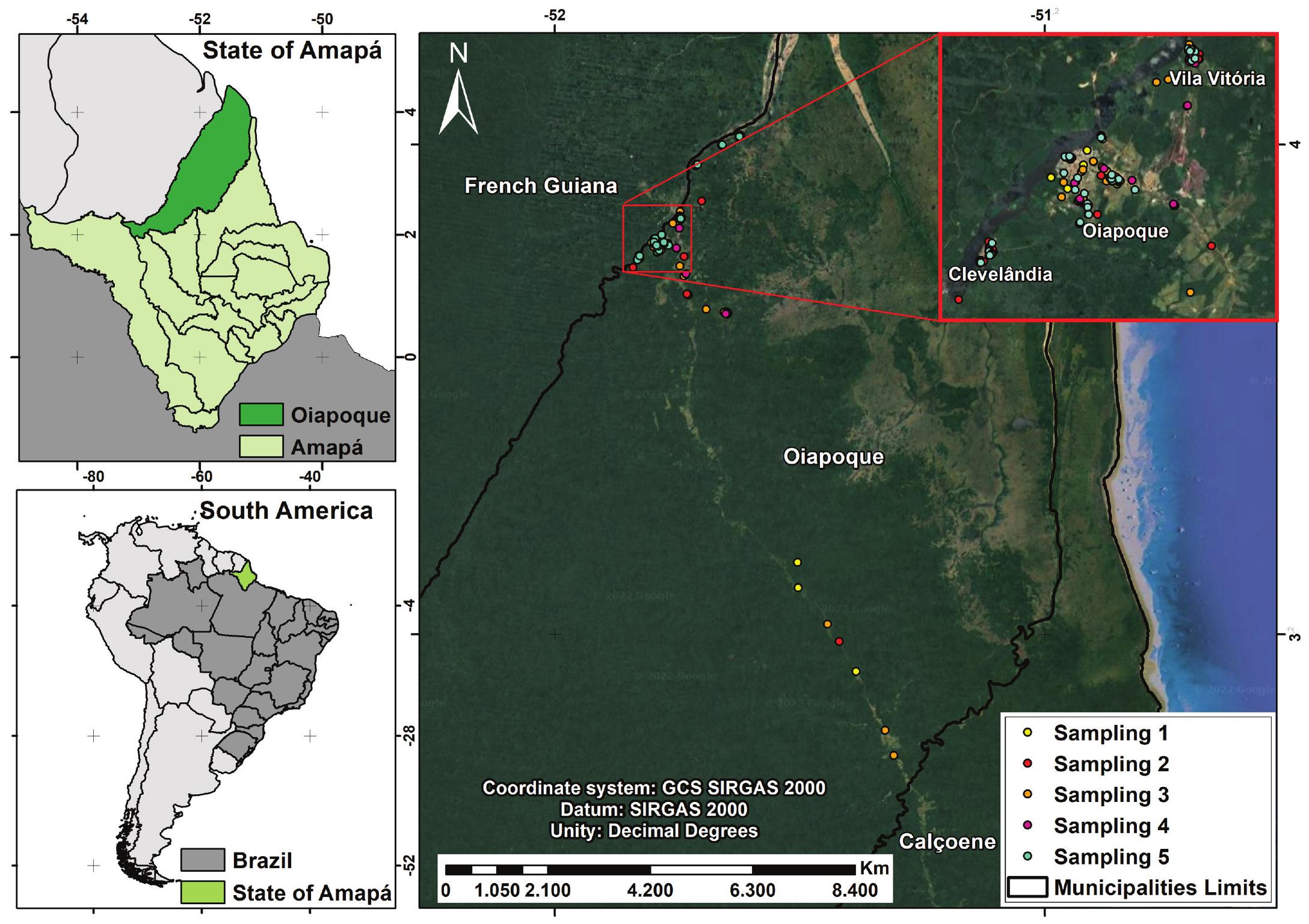 New Findings on Carambola Fruit Fly Hosts in South America