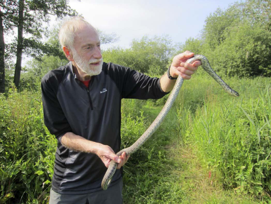 Herpetologists' League Award for Distinguished Service to Herpetology