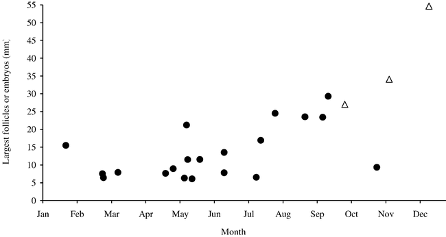 Feeding, Reproduction, and Morphology of Bothrops mattogrossensis ...
