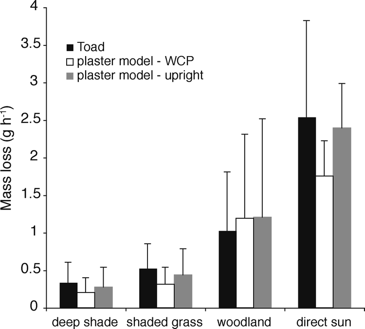 Plaster Models to Measure Operative Temperature and Evaporative Water ...
