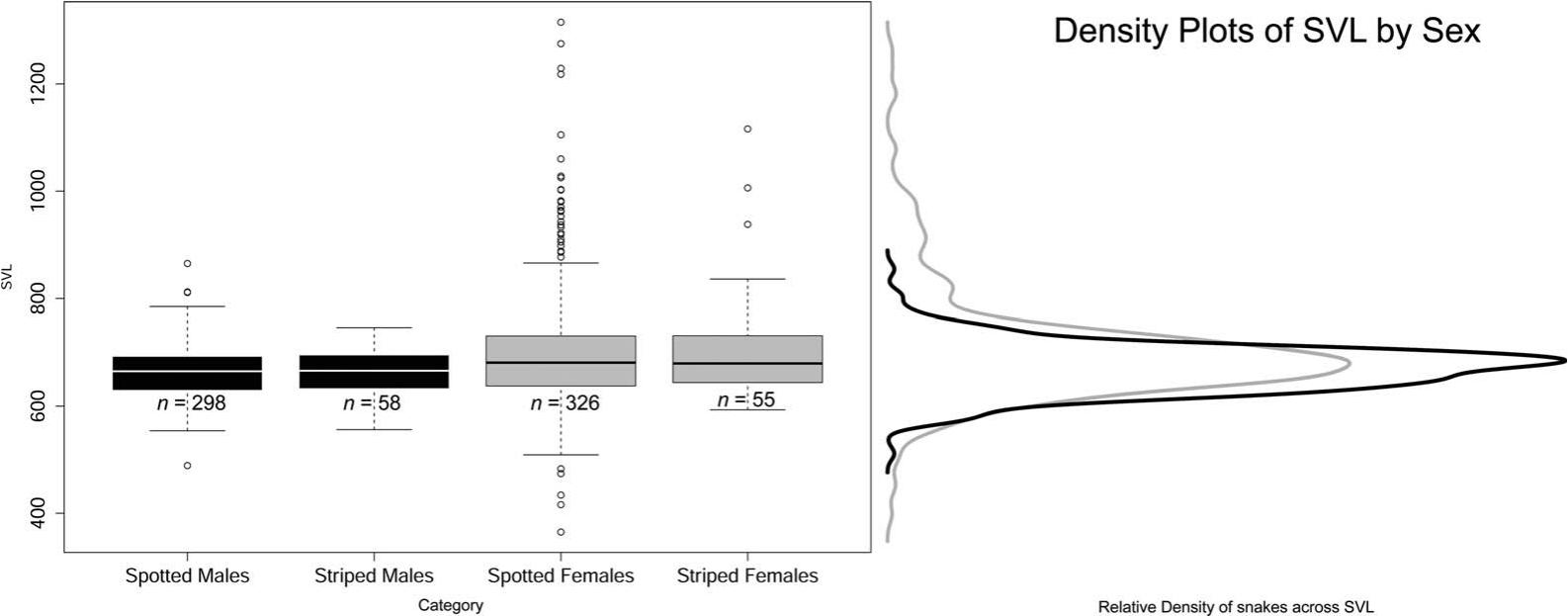 Characterization of Color Pattern Dimorphism in Turks and Caicos Boas ...