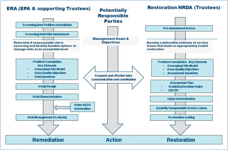 Effective Coordination and Cooperation Between Ecological Risk ...