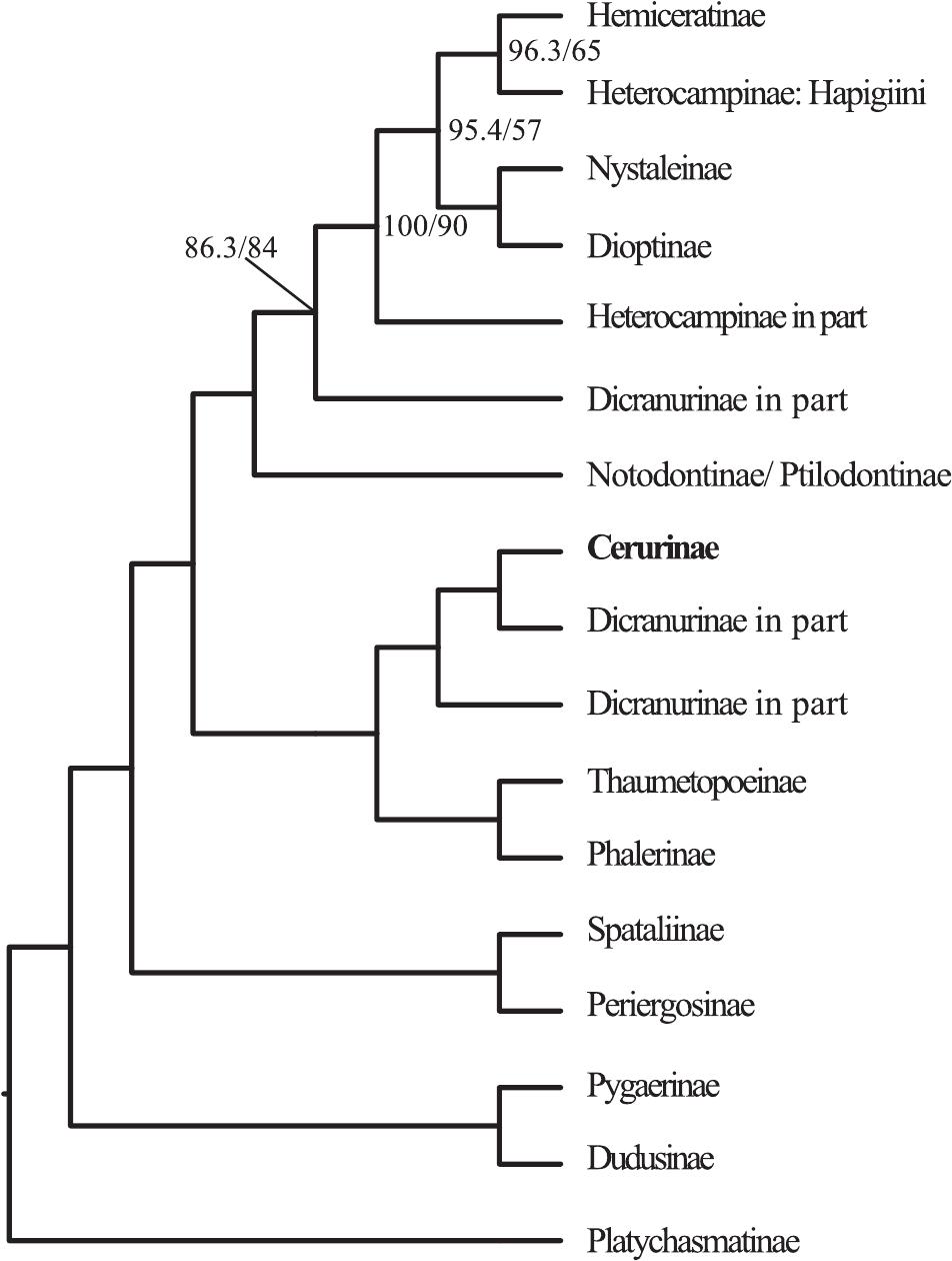 Phylogenetic systematics, diversification, and biogeography of ...